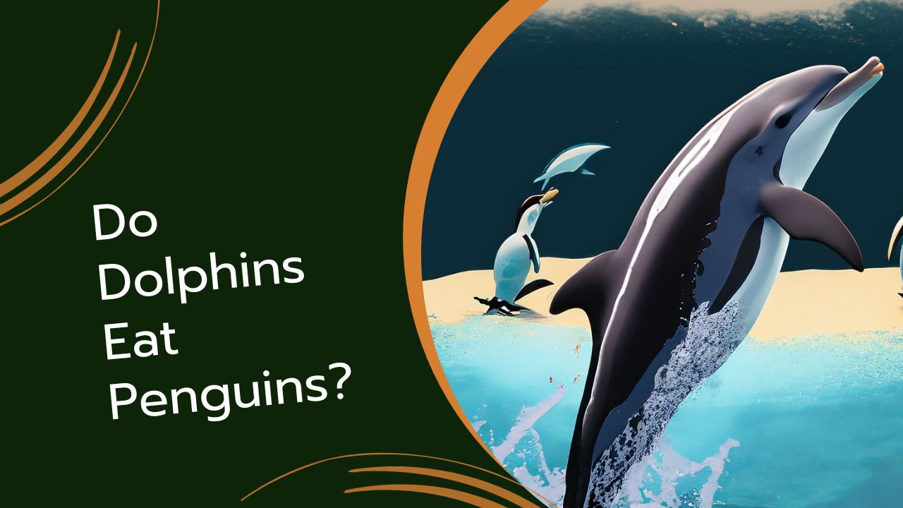 Do Dolphins Eat Turtles? The Surprising Truth | DolphinXpert.com