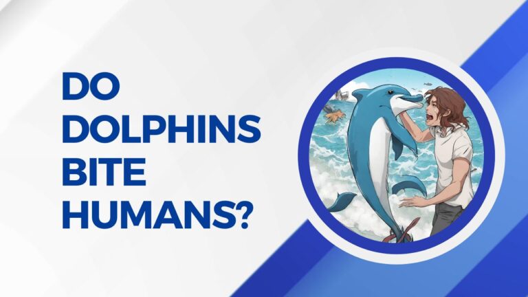 Do Dolphins Bite Hurt? From Playful Nips to Serious Bites ...