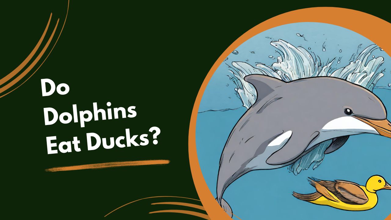 Do Dolphins Eat Birds? The Surprising Predatory Habits | DolphinXpert.com