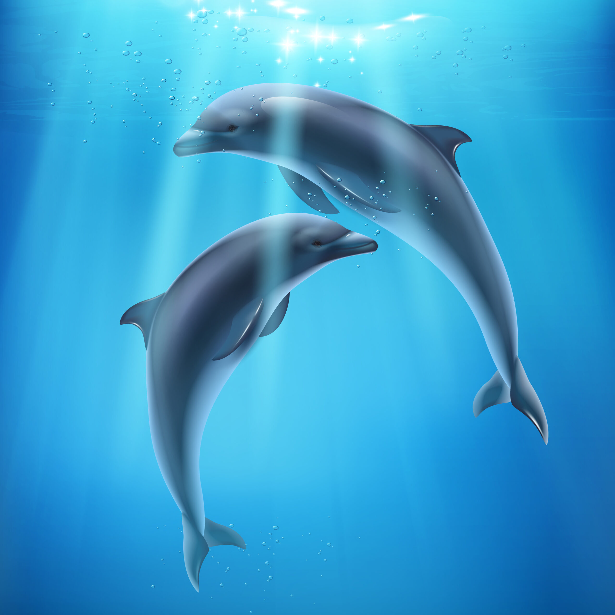 What Happens When A Dolphin Dies? Saying Goodbye | DolphinXpert.com