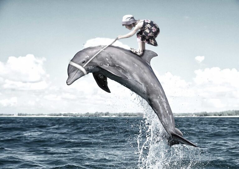 Can You Ride A Dolphin? Aquatic Adventure or Animal Cruelty ...