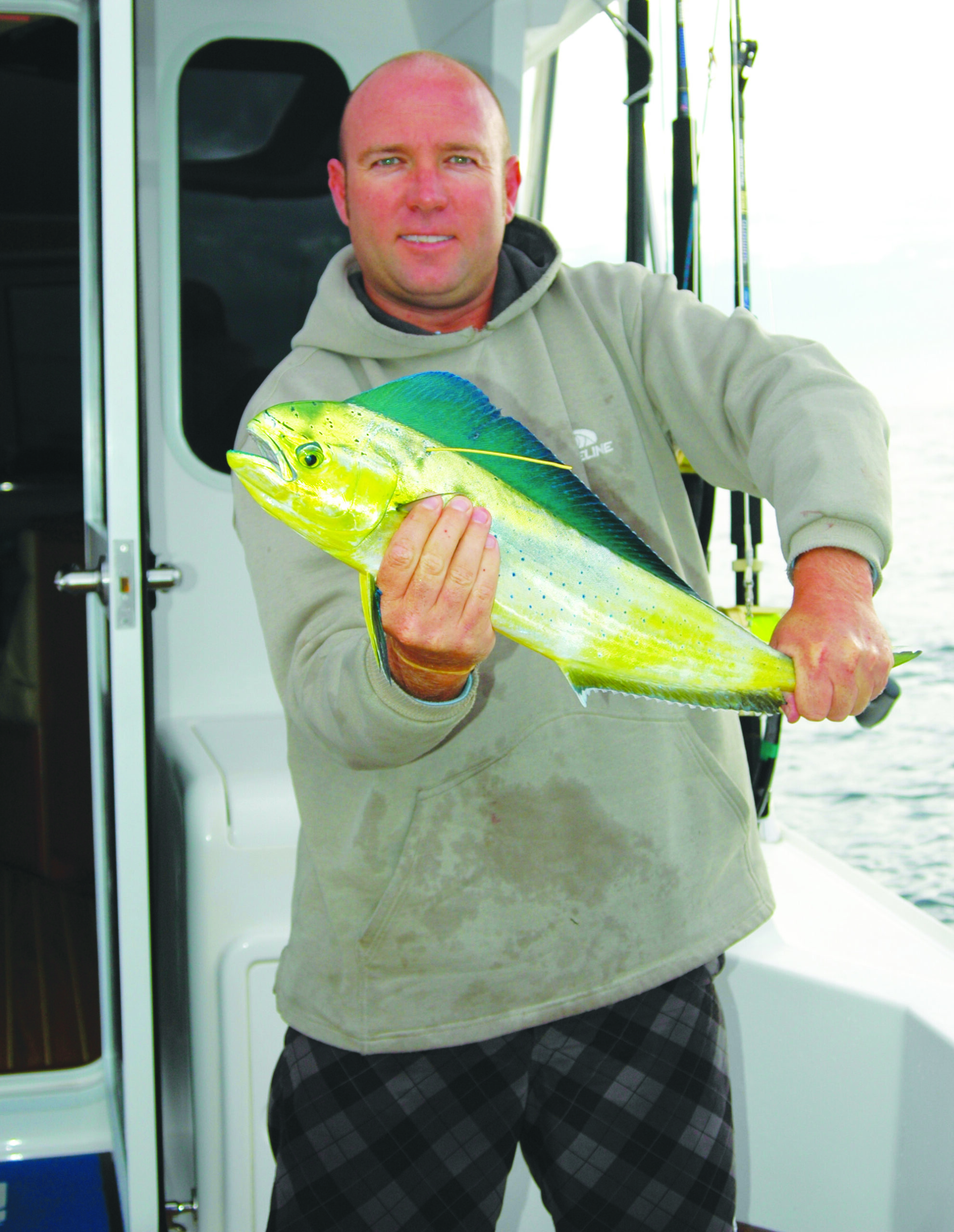 How To Catch Dorado Fish? Quick & Effective Tips | DolphinXpert.com